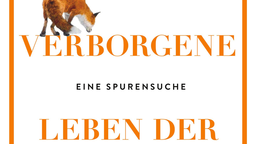 Fabelhaft: Das verborgene Leben der Füchse Fabelhaft: Das verborgene Leben der Füchse