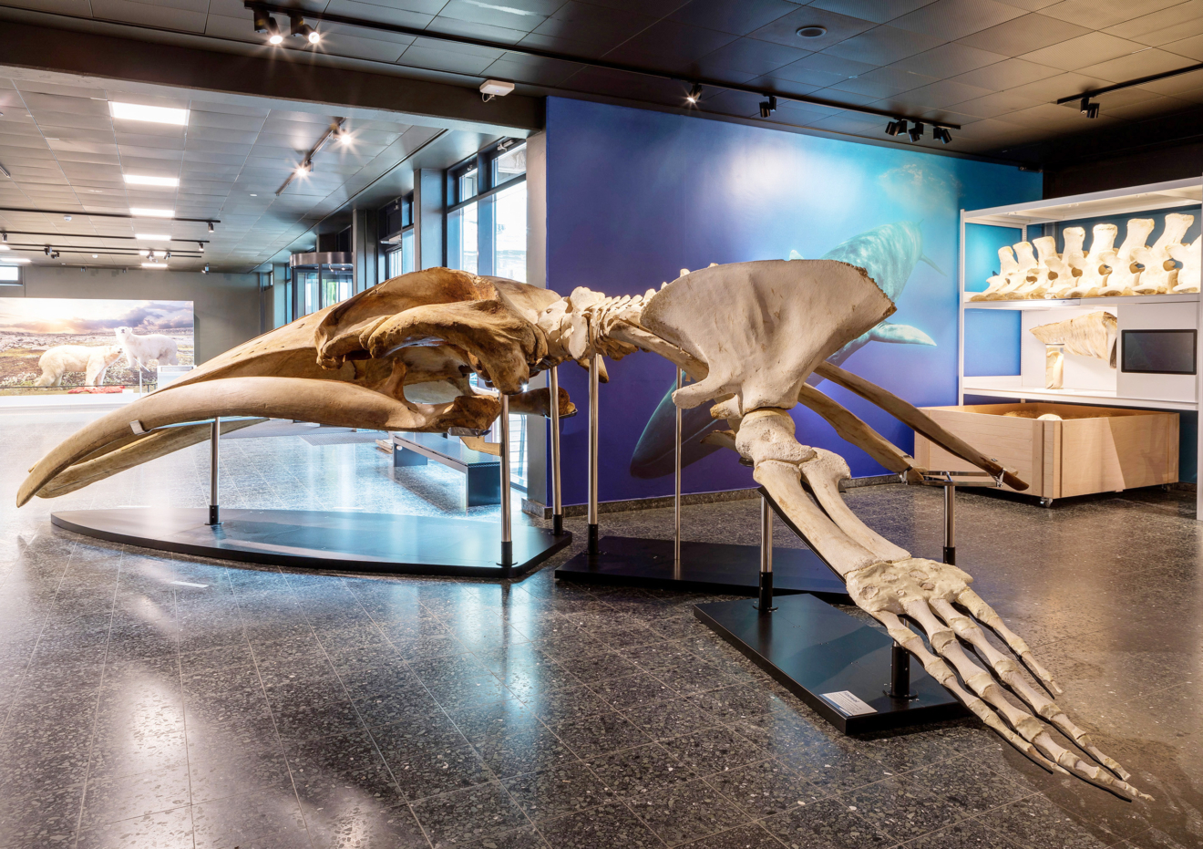 Staunen und entdecken: Die 15 schönsten Museen in Hamburg